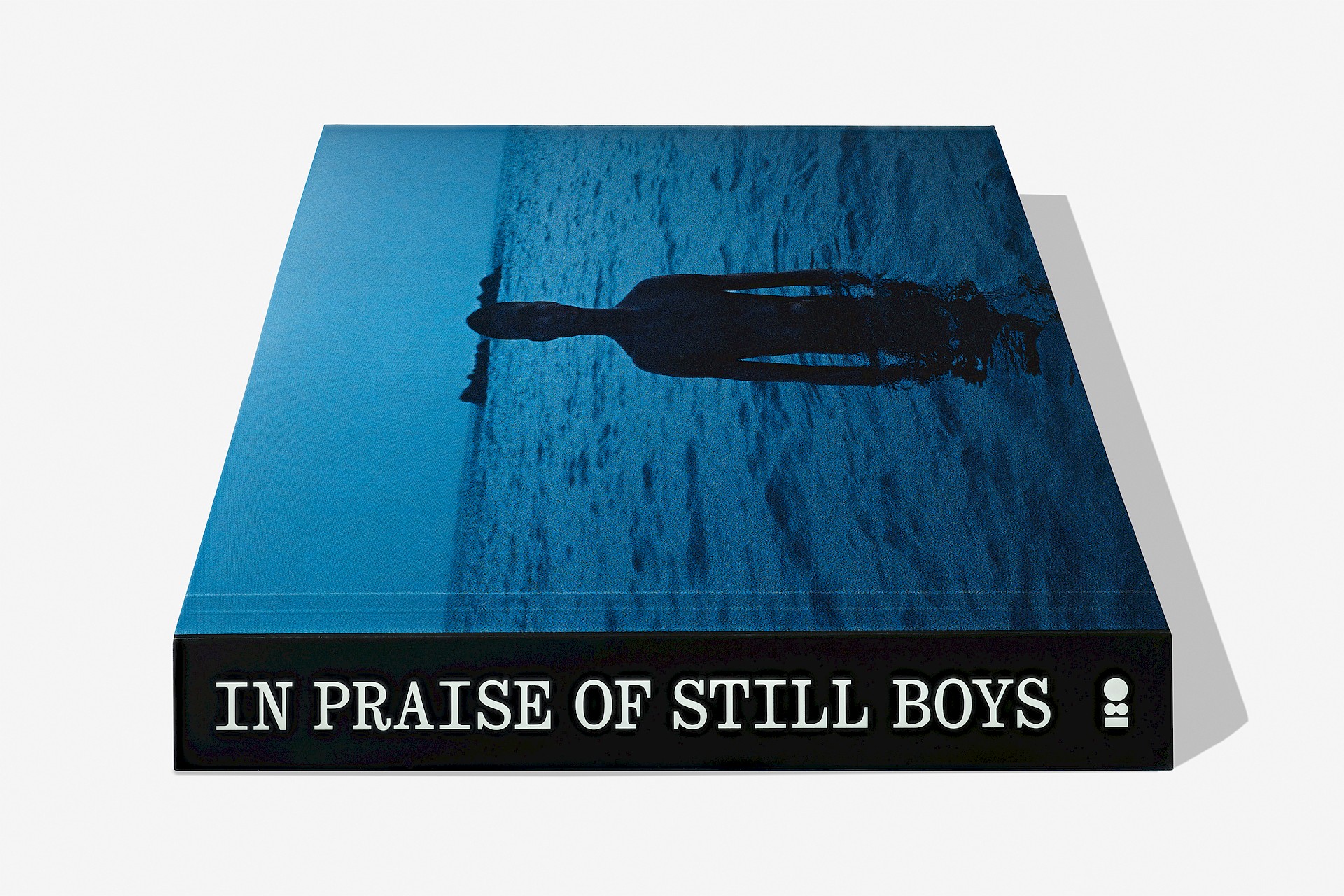 In Praise of Still Boys - Zak Group